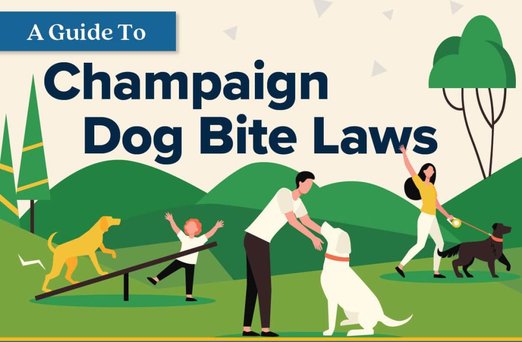 How to protect yourself from Chicago workplace injuries - Briskman ...