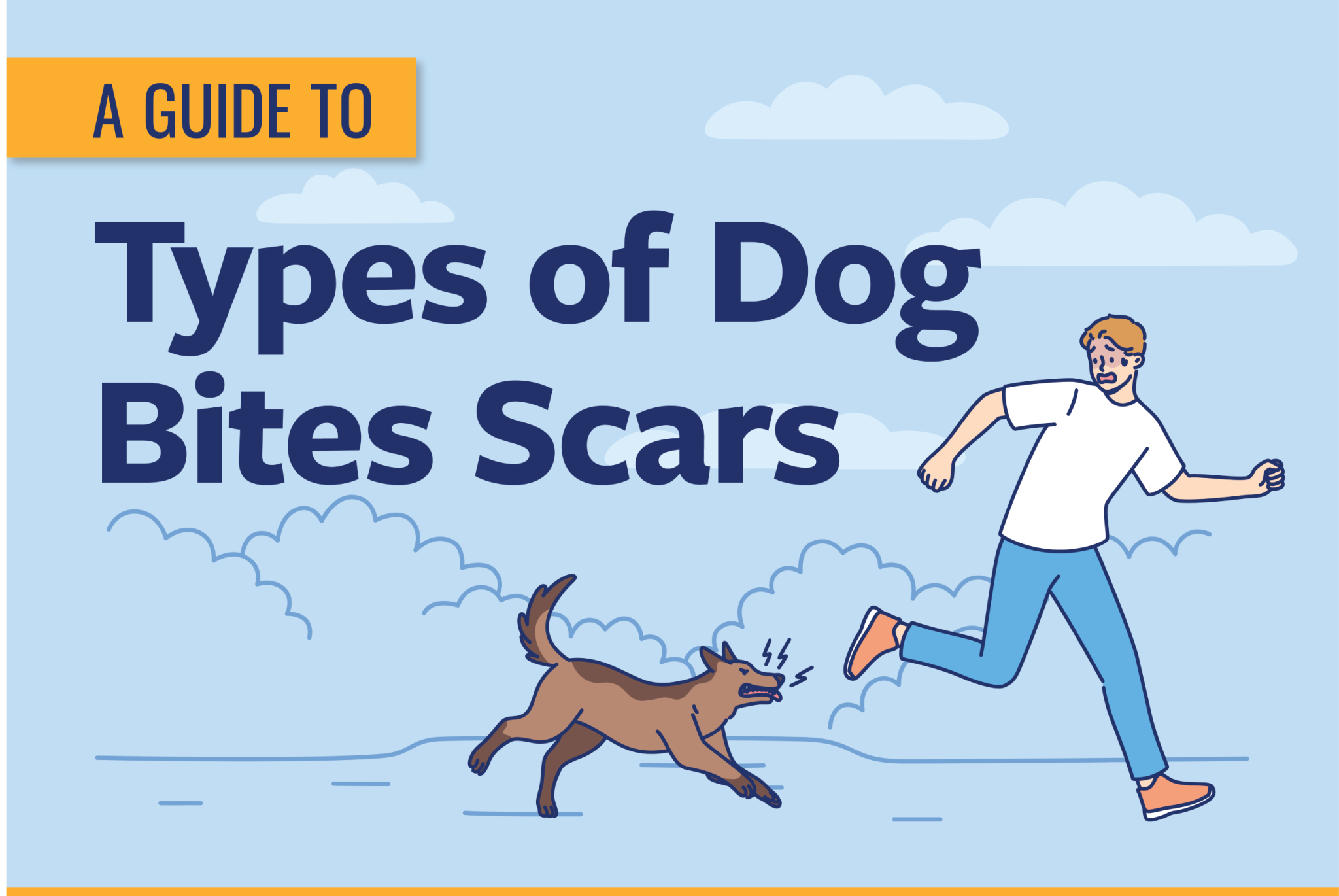 A Guide to the Dog Bite Lawsuit Process Infographic - Briskman Briskman ...
