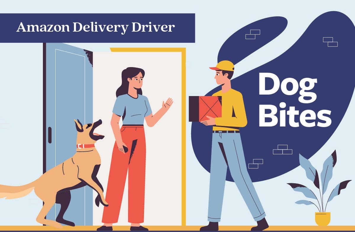 Amazon Delivery Driver Dog Bites in Chicago Infographic - Briskman ...